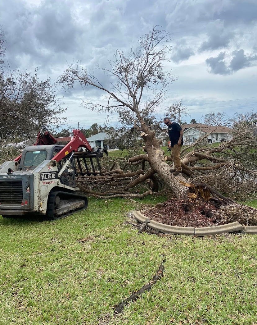 Souza and son's tree service